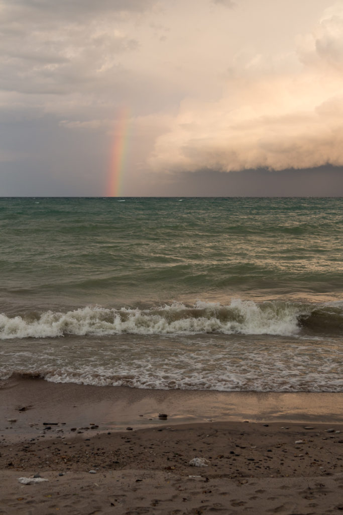 Summer Harbor Views • Rose Clearfield