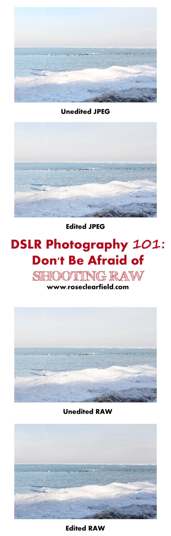 DSLR Photography 101: Don’t Be Afraid of Shooting RAW - Rose Clearfield