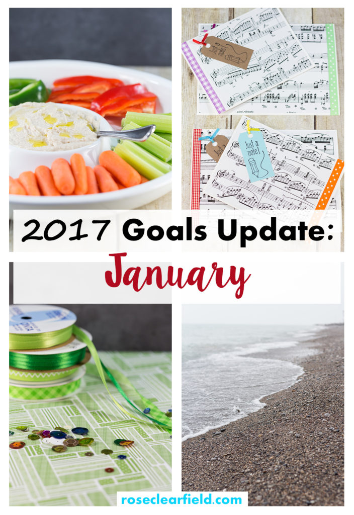 2017 Goals Update: February • Rose Clearfield