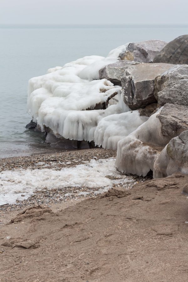 February at the Beach • Rose Clearfield