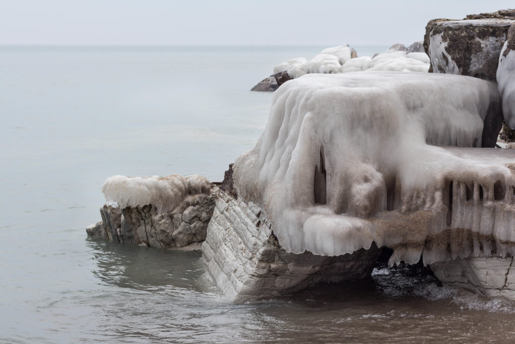 February at the Beach • Rose Clearfield
