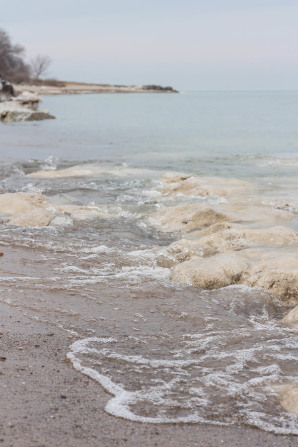 February at the Beach • Rose Clearfield
