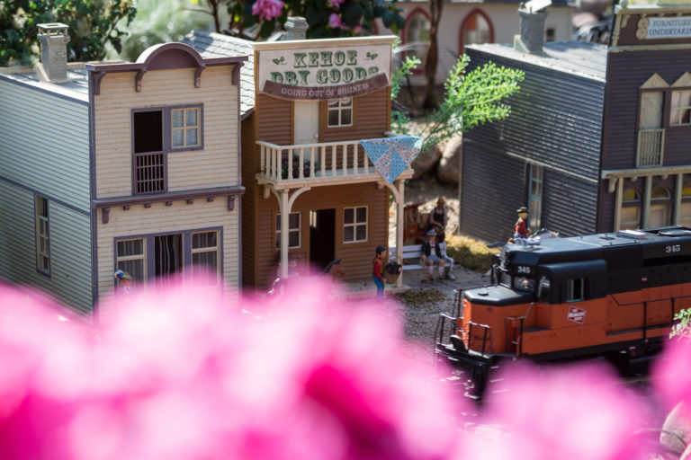 The Great Train Robbery Train Show at the Domes • Rose Clearfield