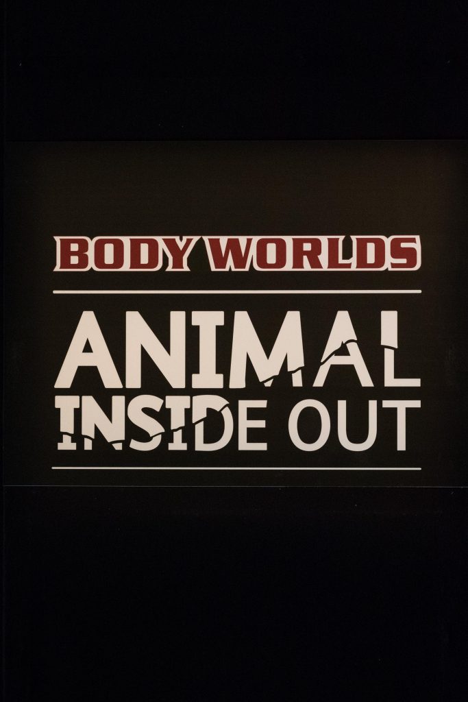 Body Worlds Animal Inside Out Sign A • Rose Clearfield