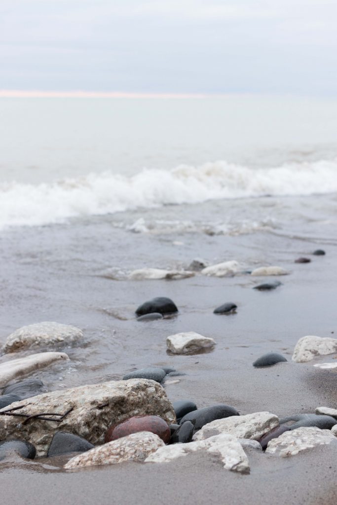Winter Lake Views • Rose Clearfield