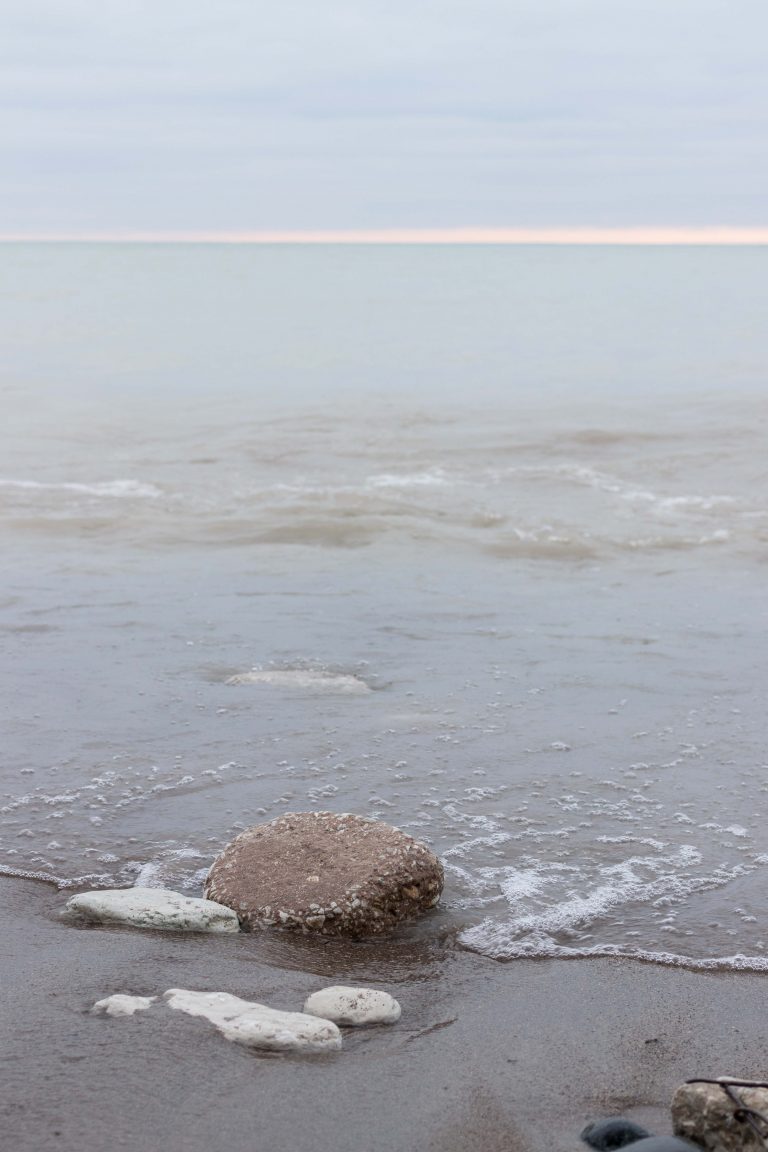 Winter Lake Views • Rose Clearfield