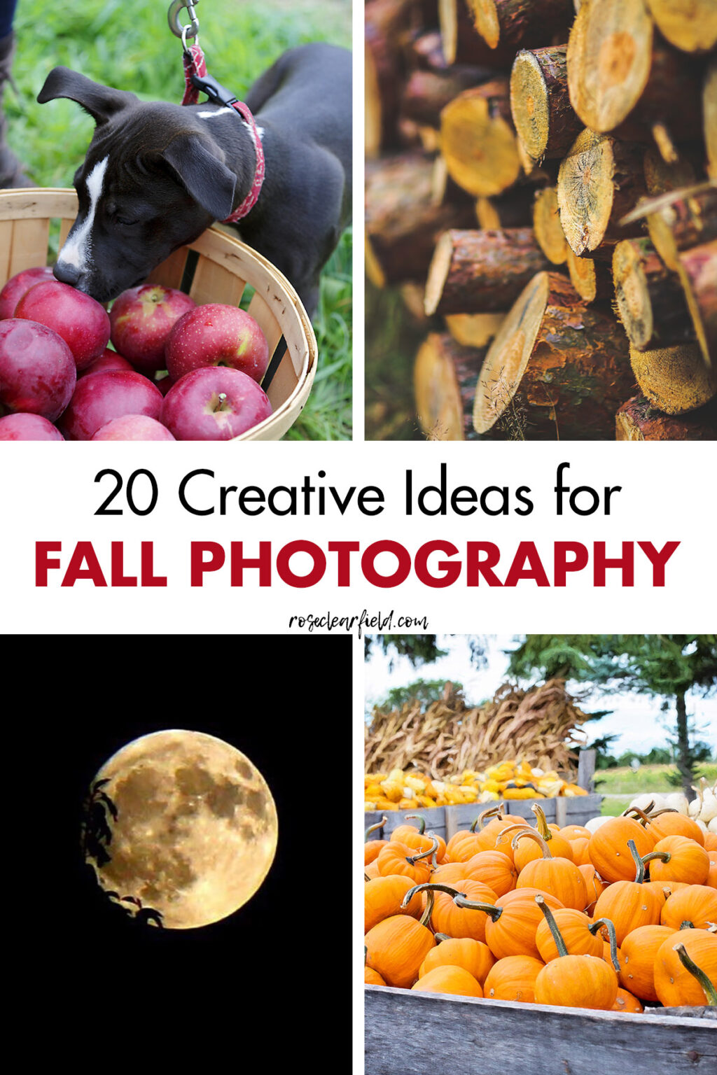 20 Creative Fall Photography Ideas • Rose Clearfield