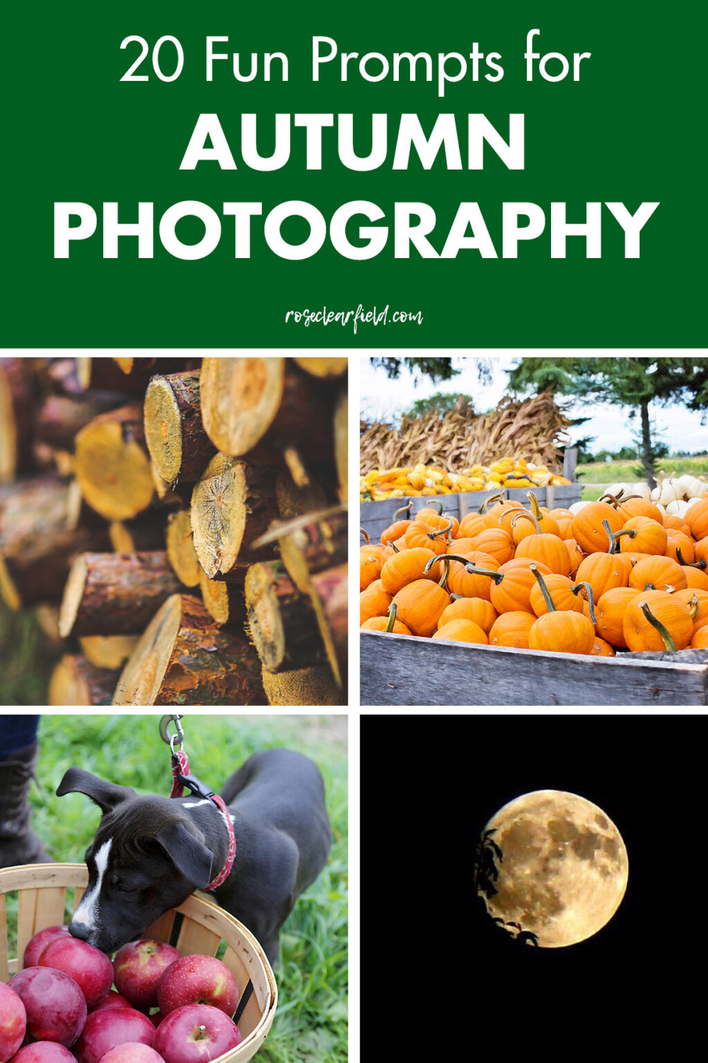 20 Fun Prompts for Autumn Photography • Rose Clearfield