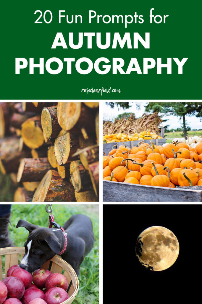 20 Fun Prompts for Autumn Photography • Rose Clearfield