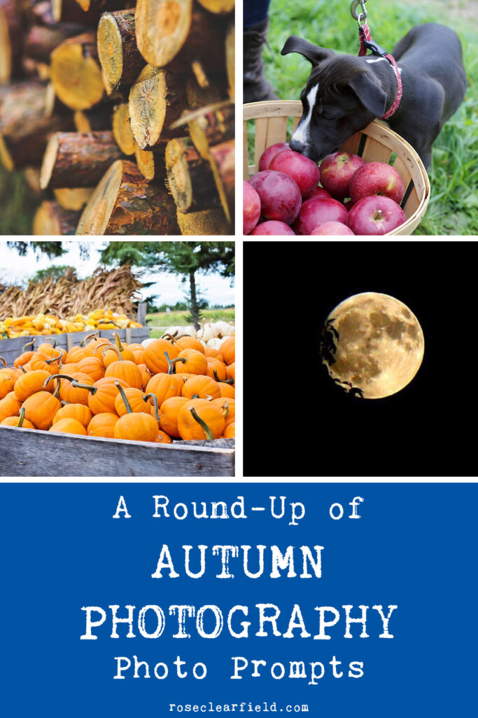 A Round-Up of Autumn Photography Photo Prompts • Rose Clearfield