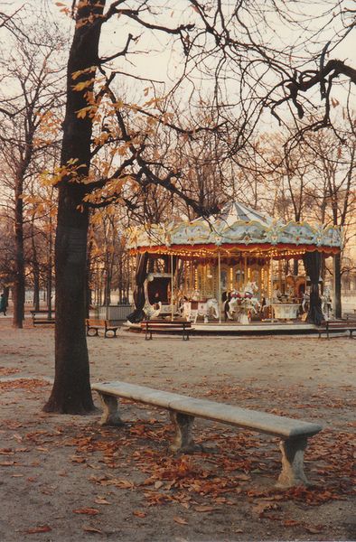 Carousel in the Fall • Rose Clearfield