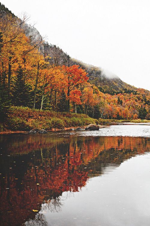 Fall Lake Reflection • Rose Clearfield