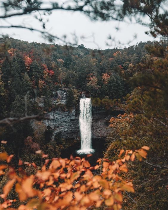 Waterfall in the Fall • Rose Clearfield