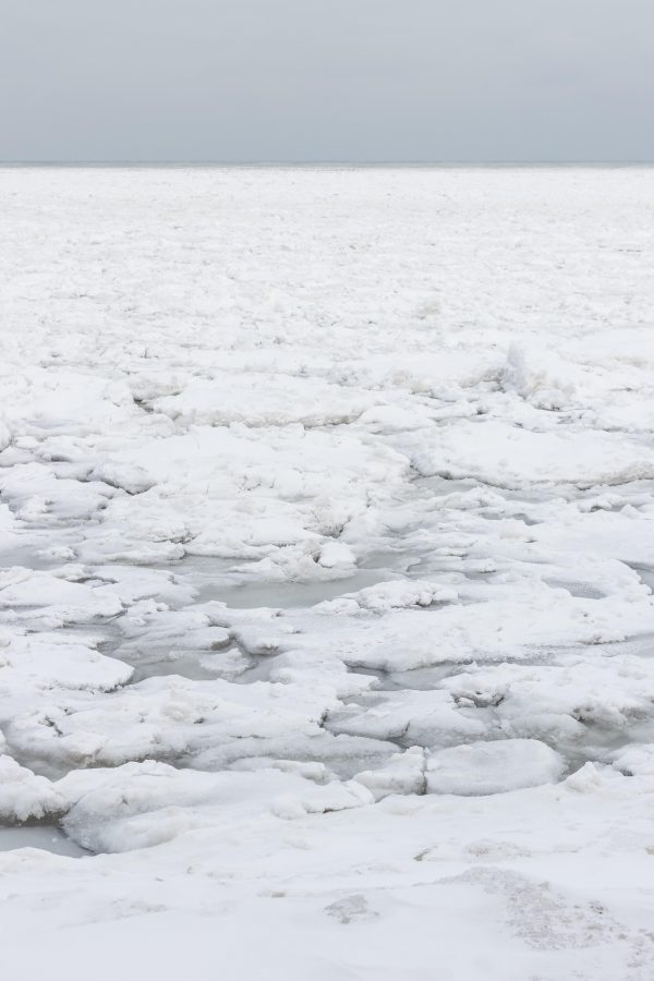 Iced Lake Michigan Beachfront • Rose Clearfield