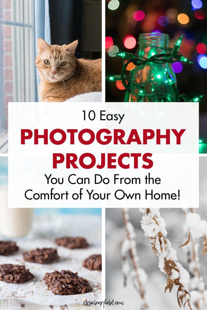 10 Easy Photography Projects You Can Do From the Comfort of Your Own ...