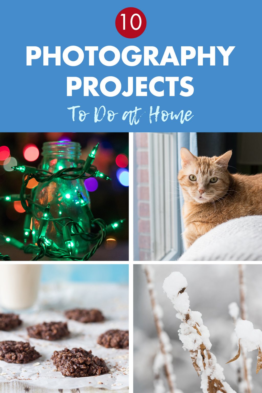 10 Photography Projects To Do From Home • Rose Clearfield