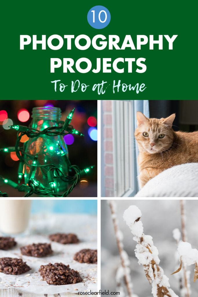 10 Photography Projects To Do at Home • Rose Clearfield