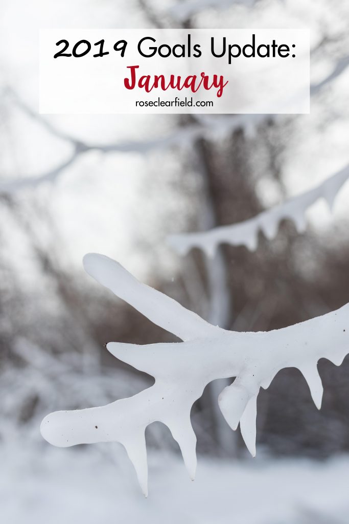 2019 Goals Update: January - Rose Clearfield