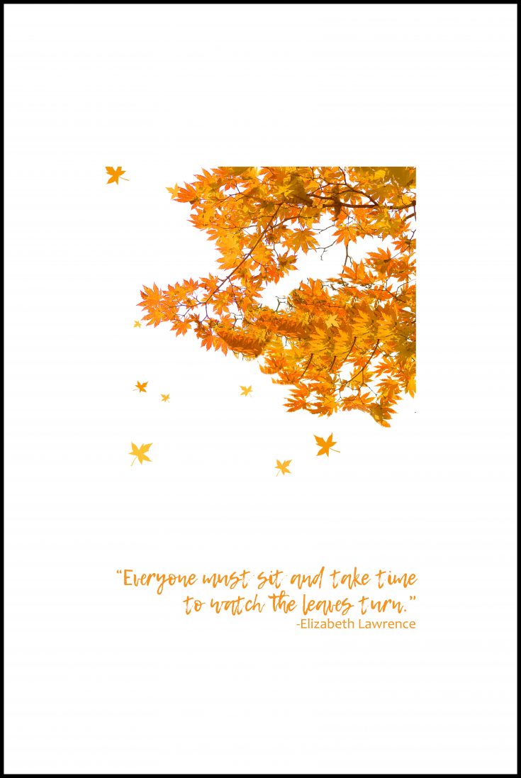 Free Autumn Quote Printables • Rose Clearfield