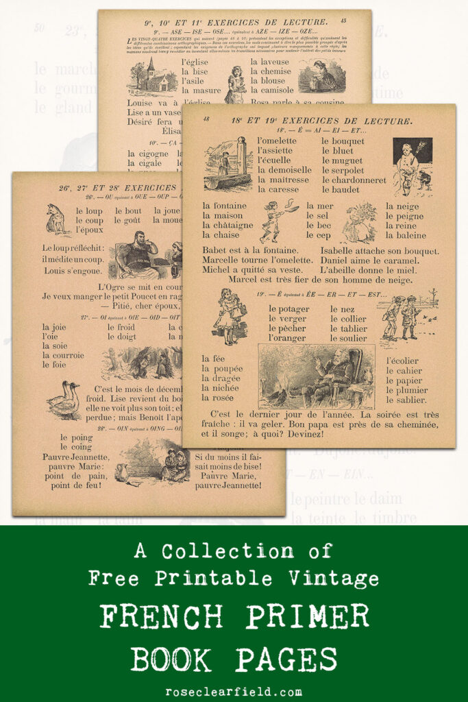 A Collection of Free Printable Vintage French Primer Book Pages • Rose ...
