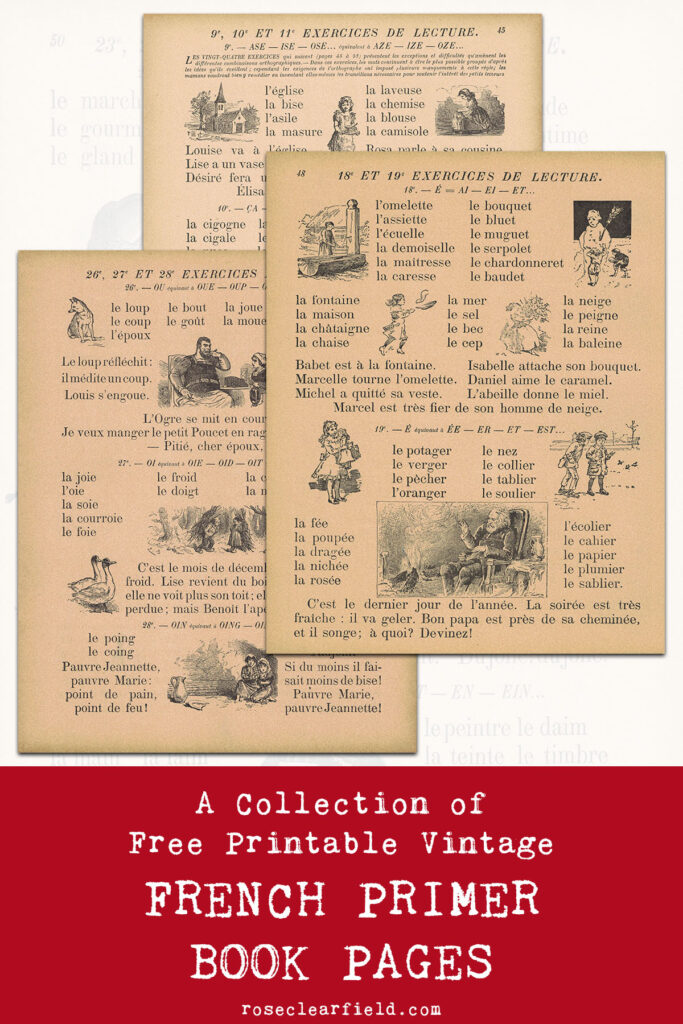 A Collection of Free Printable Vintage French Primer Book Pages • Rose ...