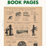 Free Vintage French Primer Book Pages and Illustrations • Rose Clearfield