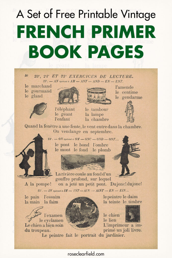 A Set of Free Printable Vintage French Primer Book Pages • Rose Clearfield