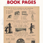Free Vintage French Primer Book Pages and Illustrations • Rose Clearfield