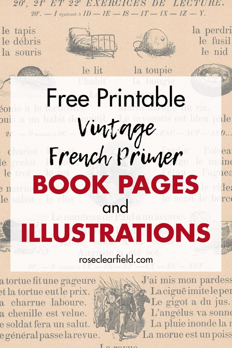 Free Vintage French Children's Language Book Pages • Rose Clearfield