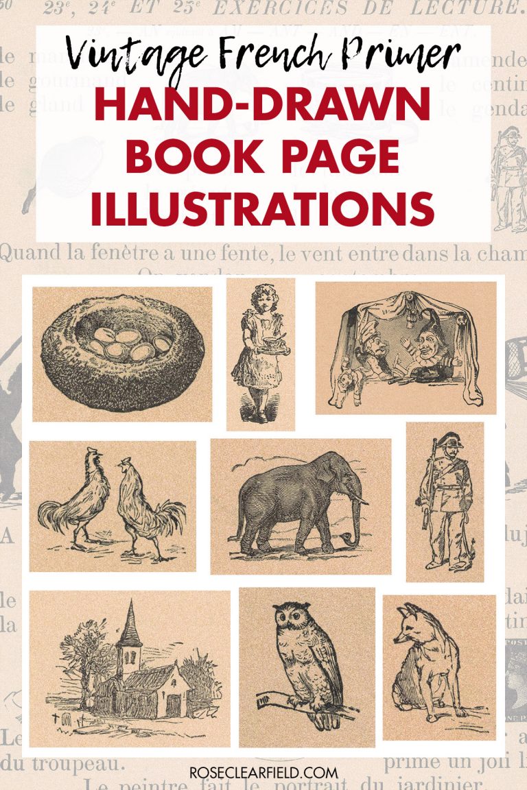 Vintage French Primer Hand-Drawn Book Page Illustrations • Rose Clearfield