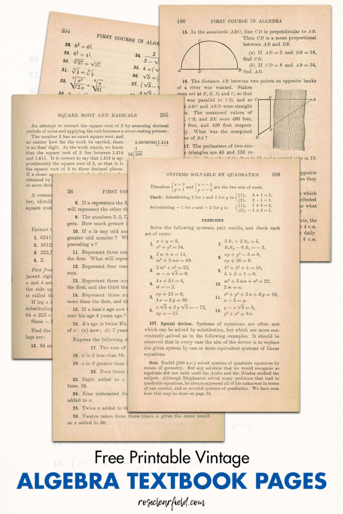 Free Printable Vintage Algebra Textbook Pages • Rose Clearfield