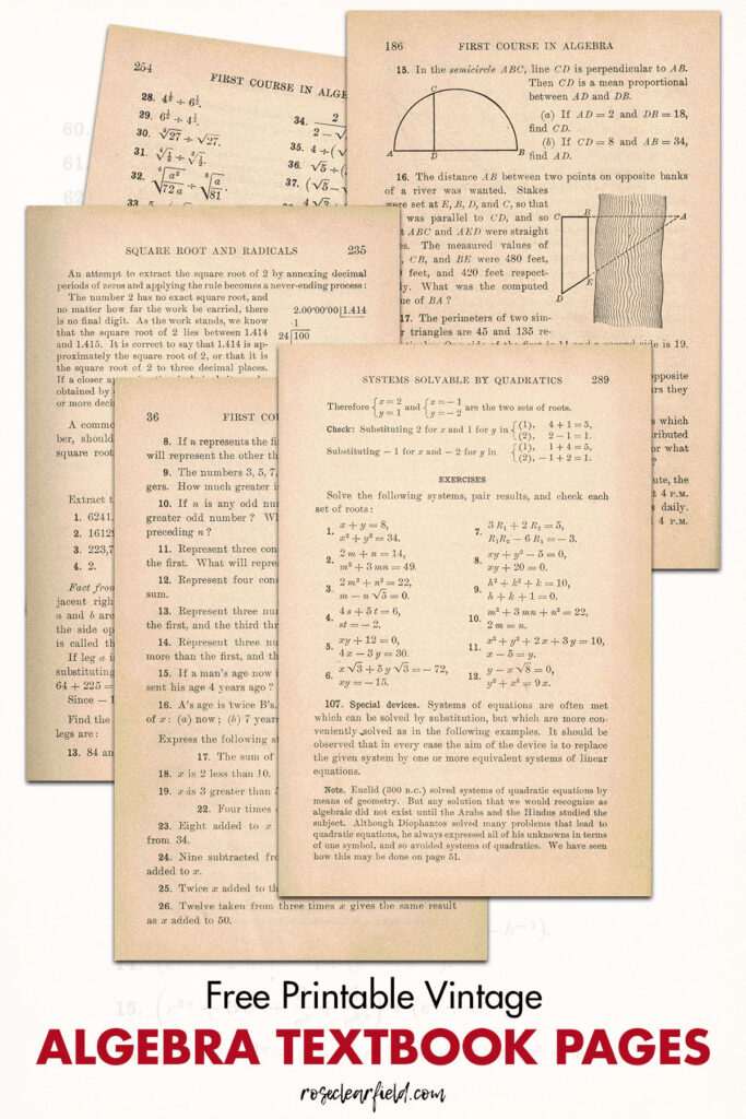 Free Printable Vintage Algebra Textbook Pages • Rose Clearfield