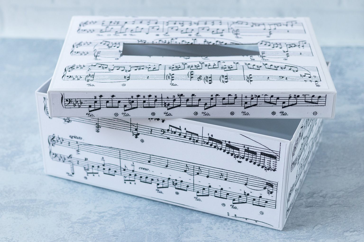 DIY Sheet Music Valentine's Day Box • Rose Clearfield