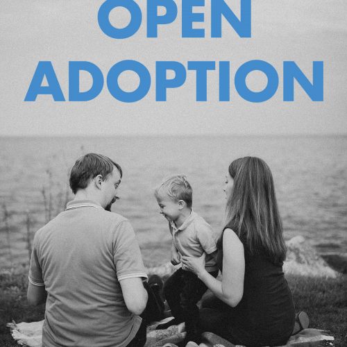 Open Adoption - Rose Clearfield