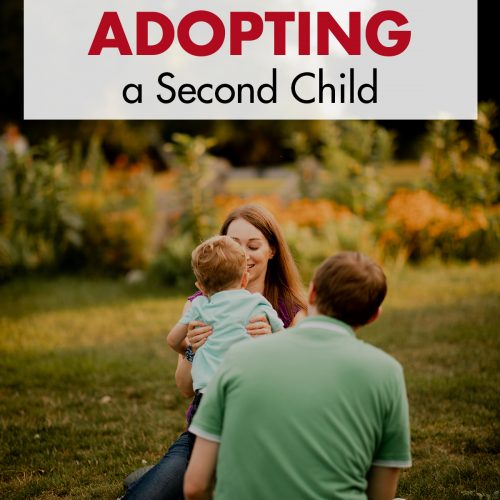 Waiting to Adopt • Rose Clearfield