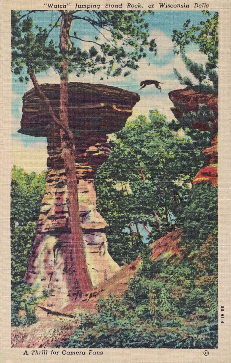 Free Printable Vintage Wisconsin Dells Postcards • Rose Clearfield