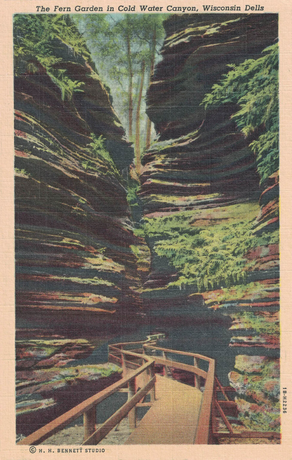 Free Printable Vintage Wisconsin Dells Postcards • Rose Clearfield