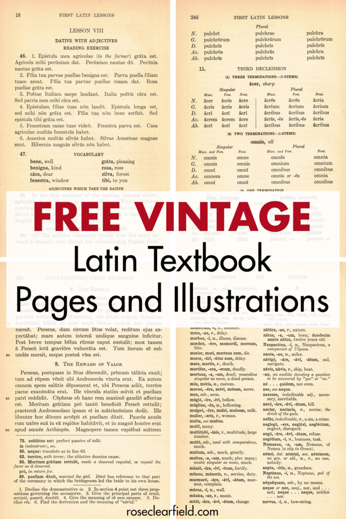 Free Vintage Latin Textbook Pages and Illustrations • Rose Clearfield