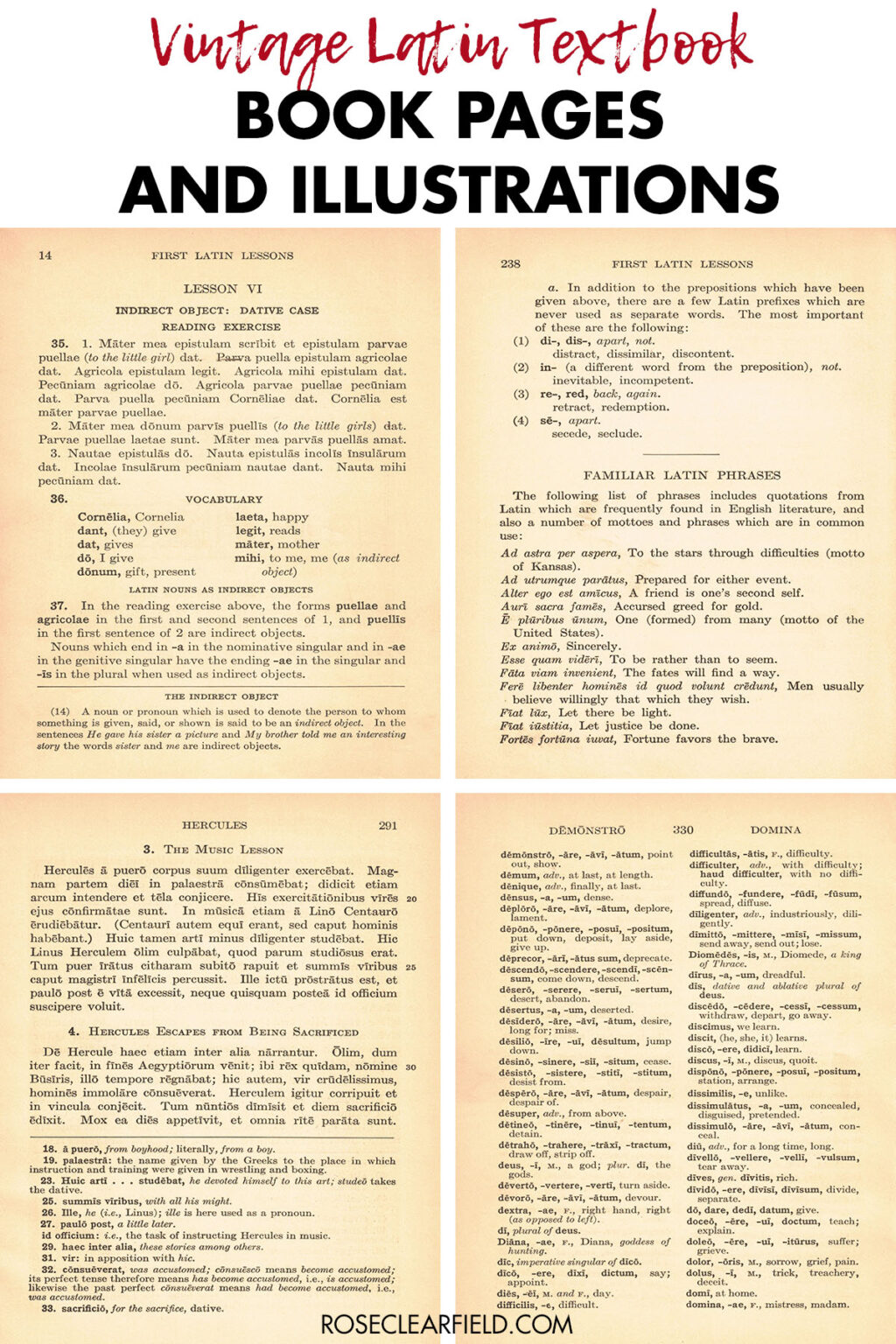 Vintage Latin Textbook Book Pages and Illustrations • Rose Clearfield