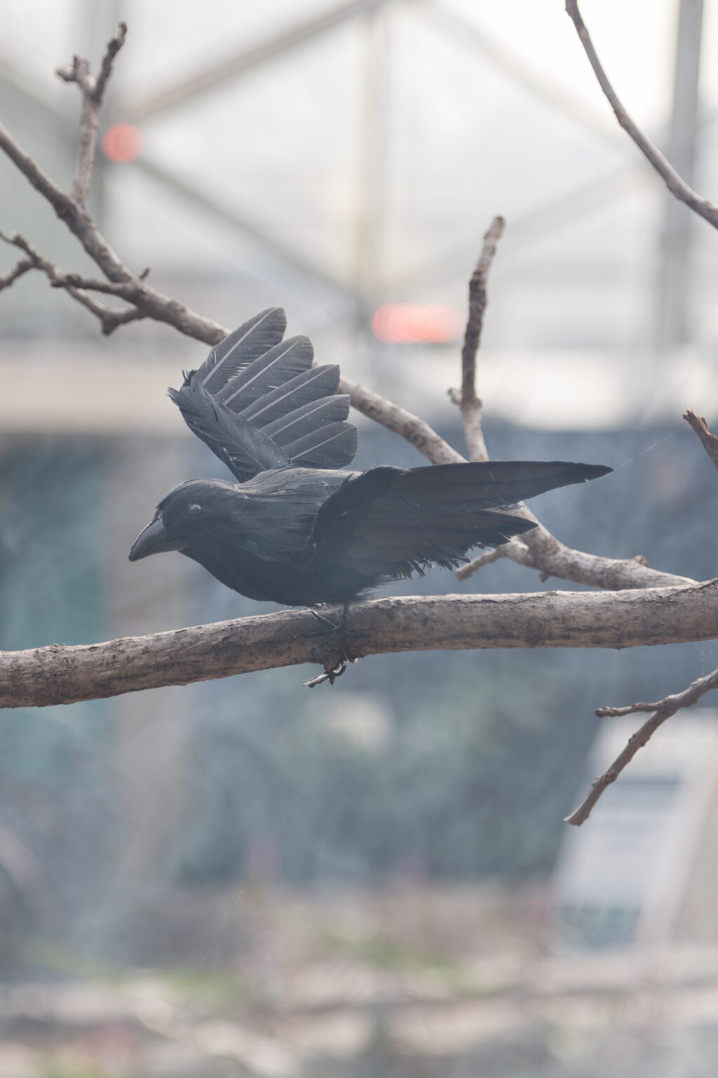The Haunting of Sleepy Hallow Fall Floral Show at the Domes • Rose ...