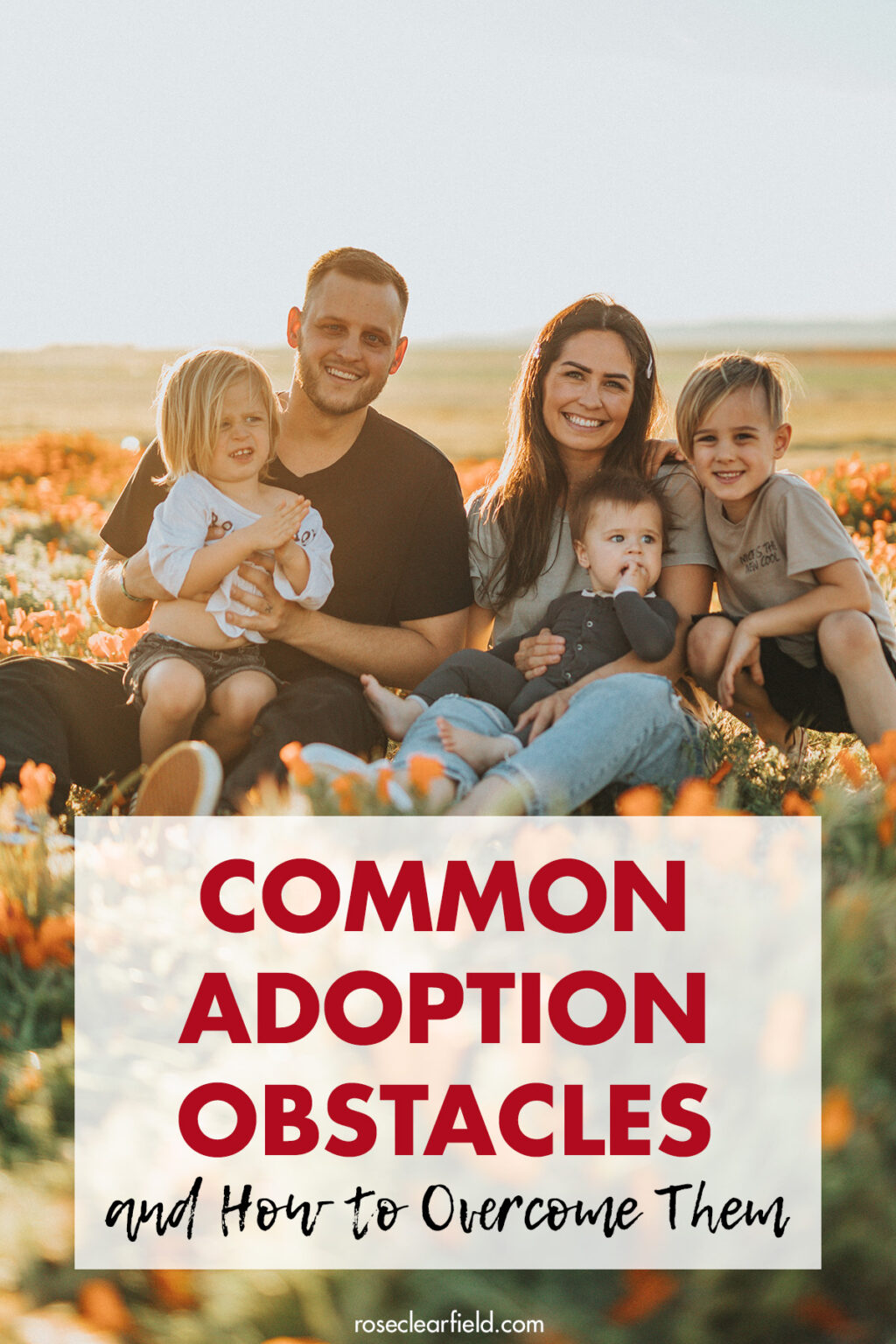 Common Adoption Obstacles and How to Overcome Them - Rose Clearfield