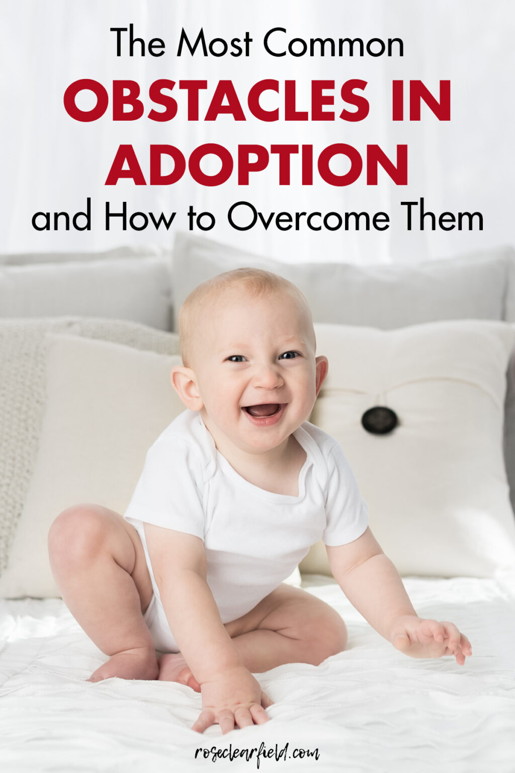 Common Adoption Obstacles and How to Overcome Them - Rose Clearfield