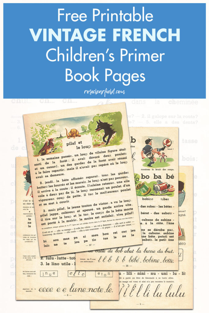 Free Vintage Kodak Camera Supply Catalog Pages • Rose Clearfield