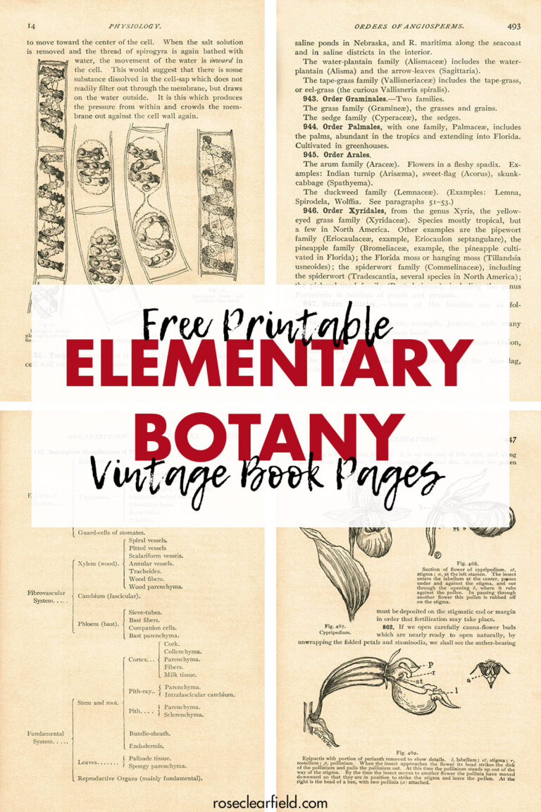 Free Printable Vintage The Bride's Book Pages • Rose Clearfield