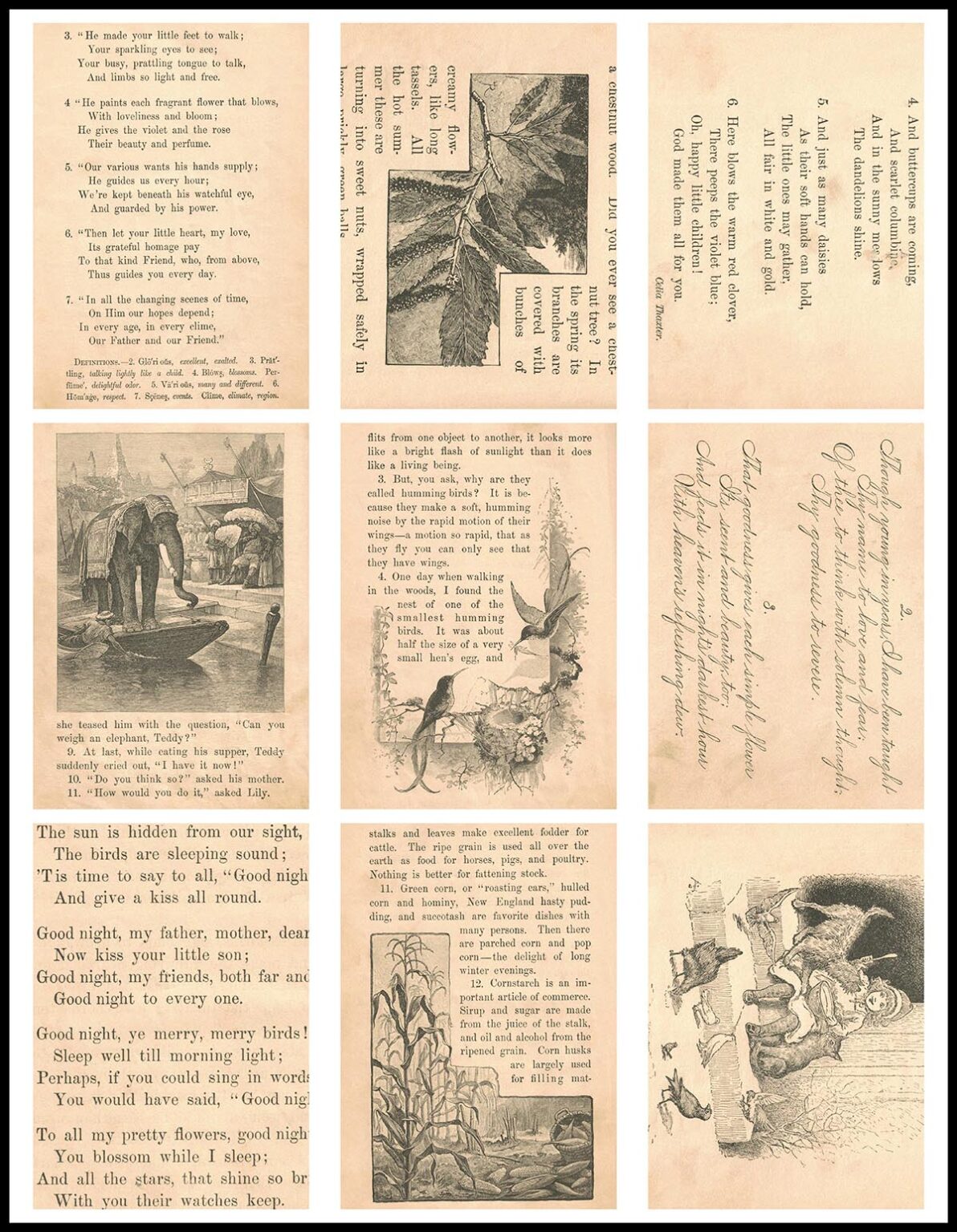 Free Printable McGuffey's Third Eclectic Reader Pages • Rose Clearfield