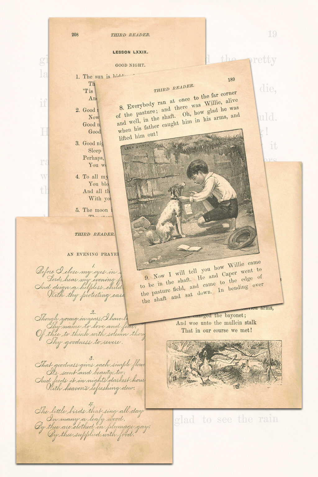 Free Printable McGuffey's Third Eclectic Reader Pages • Rose Clearfield