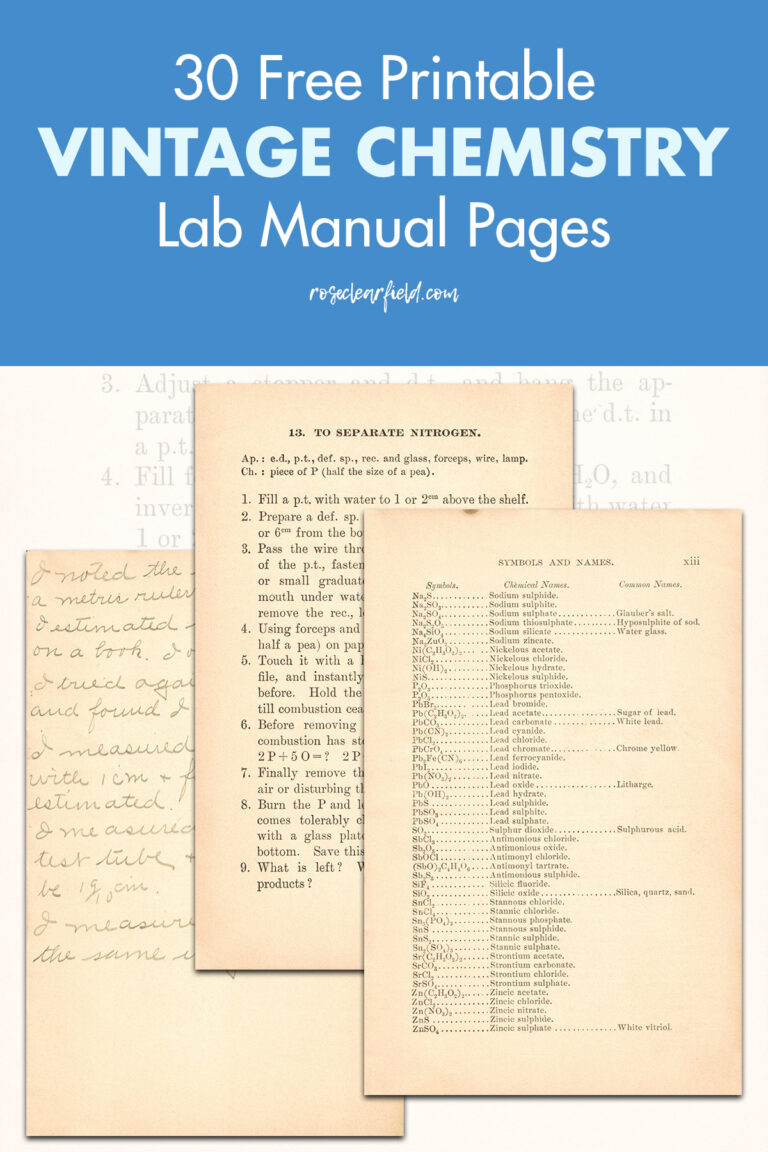Vintage General Chemistry Laboratory Manual Pages • Rose Clearfield