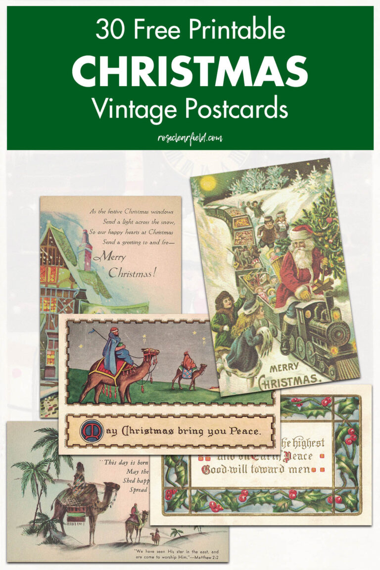 Free Printable Vintage St. Augustine Florida Postcards • Rose Clearfield