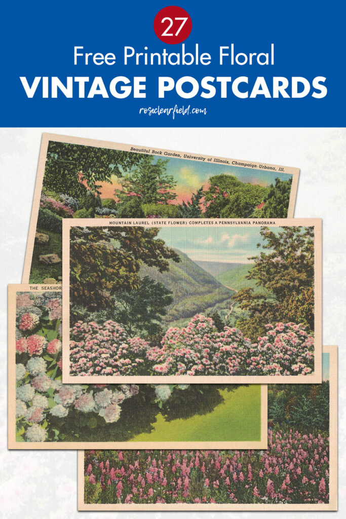 27 Free Printable Floral Vintage Postcards • Rose Clearfield