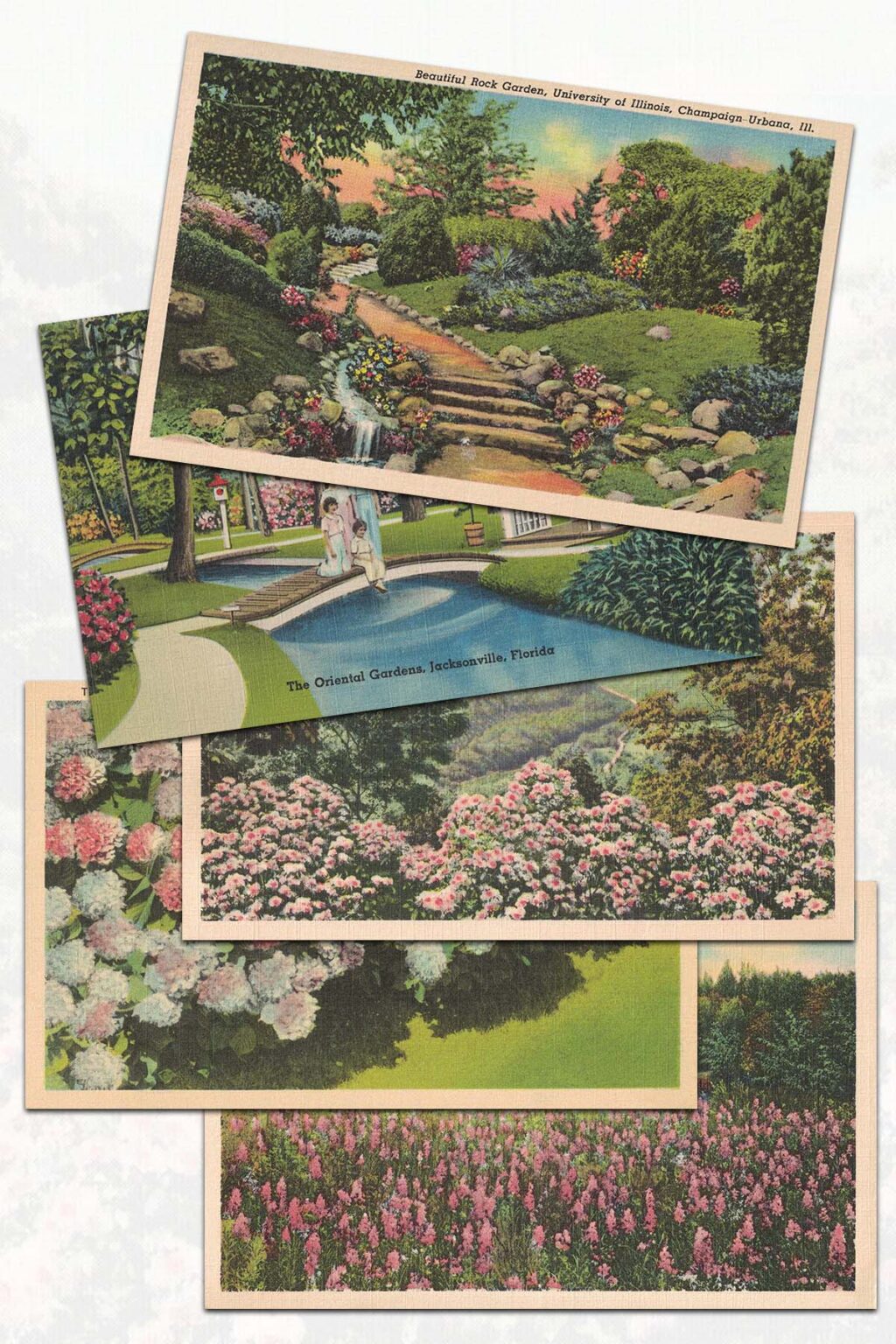 Free Printable Vintage Flower Postcards • Rose Clearfield